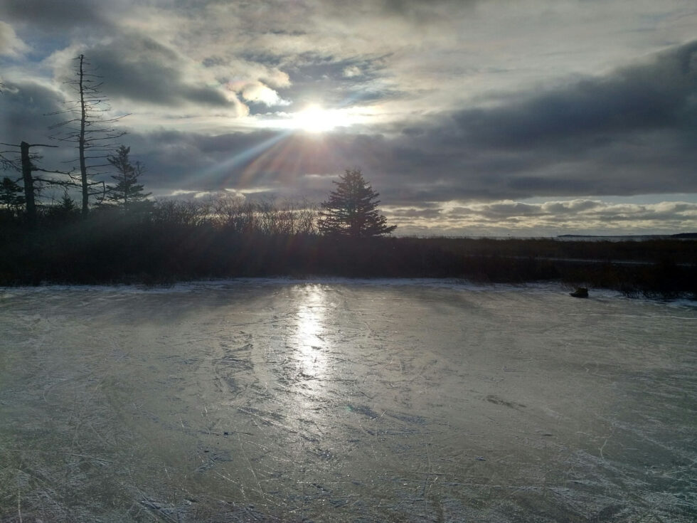 Proto-Basque | Home page of Juliette Blevins